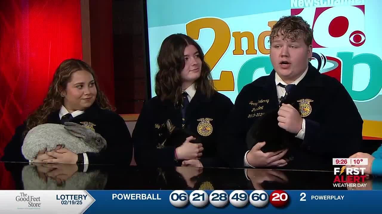 Canyon FFA students spotlighting show rabbits on 2nd Cup - YouTube