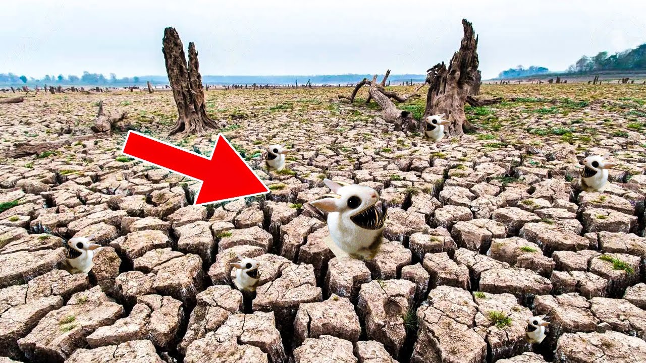 Euphrates River Has COMPLETELY Dried Up And Something TERRIFYING Is ...
