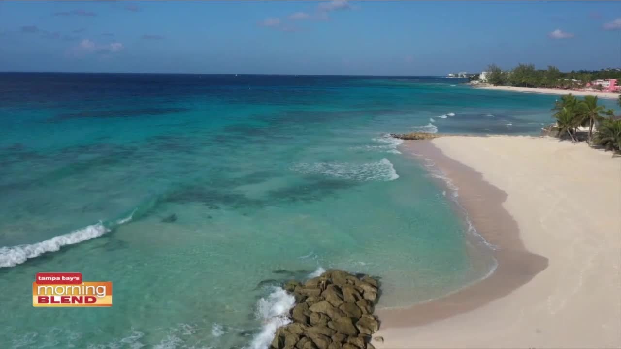 Visit Barbados | Morning Blend - YouTube