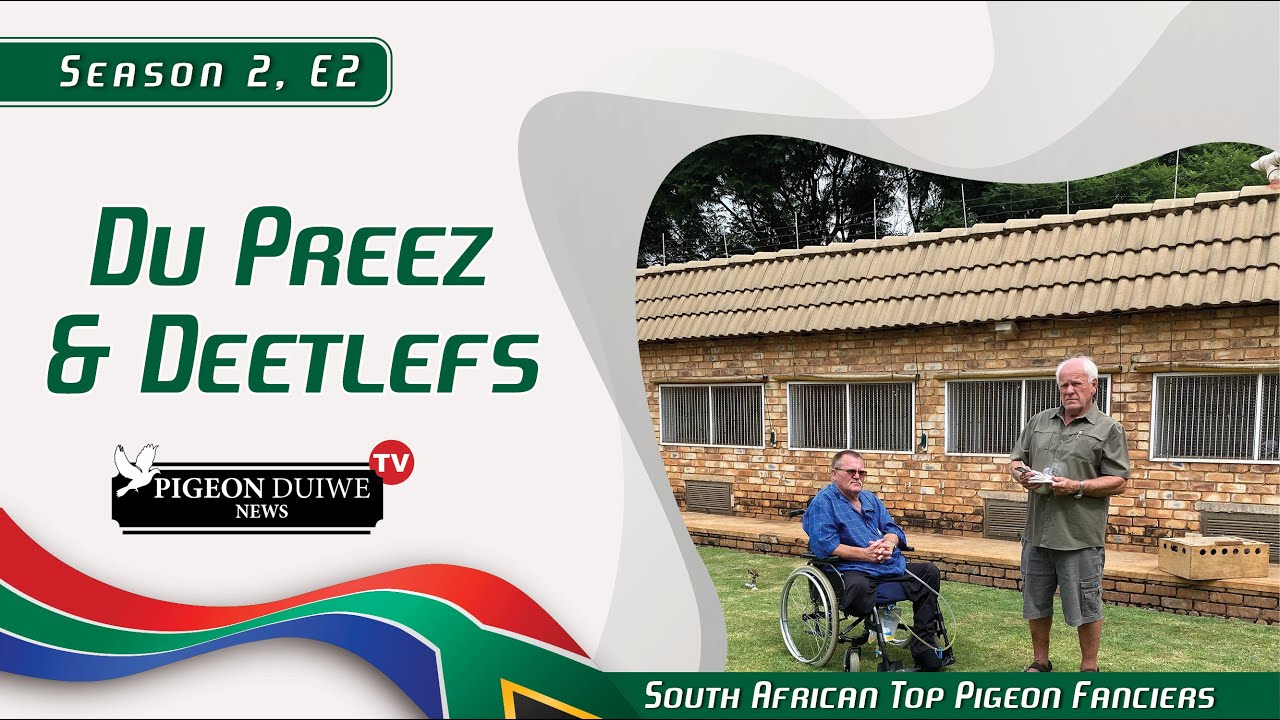 Pigeon Duiwe News TV- Du Preez & Deetlefs - SA Top Pigeon Fancier. S2 ...