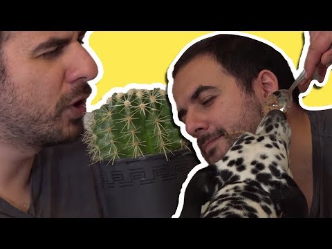 Ceza VS. Ödül - Hedefi Vur Kısmetini Bul