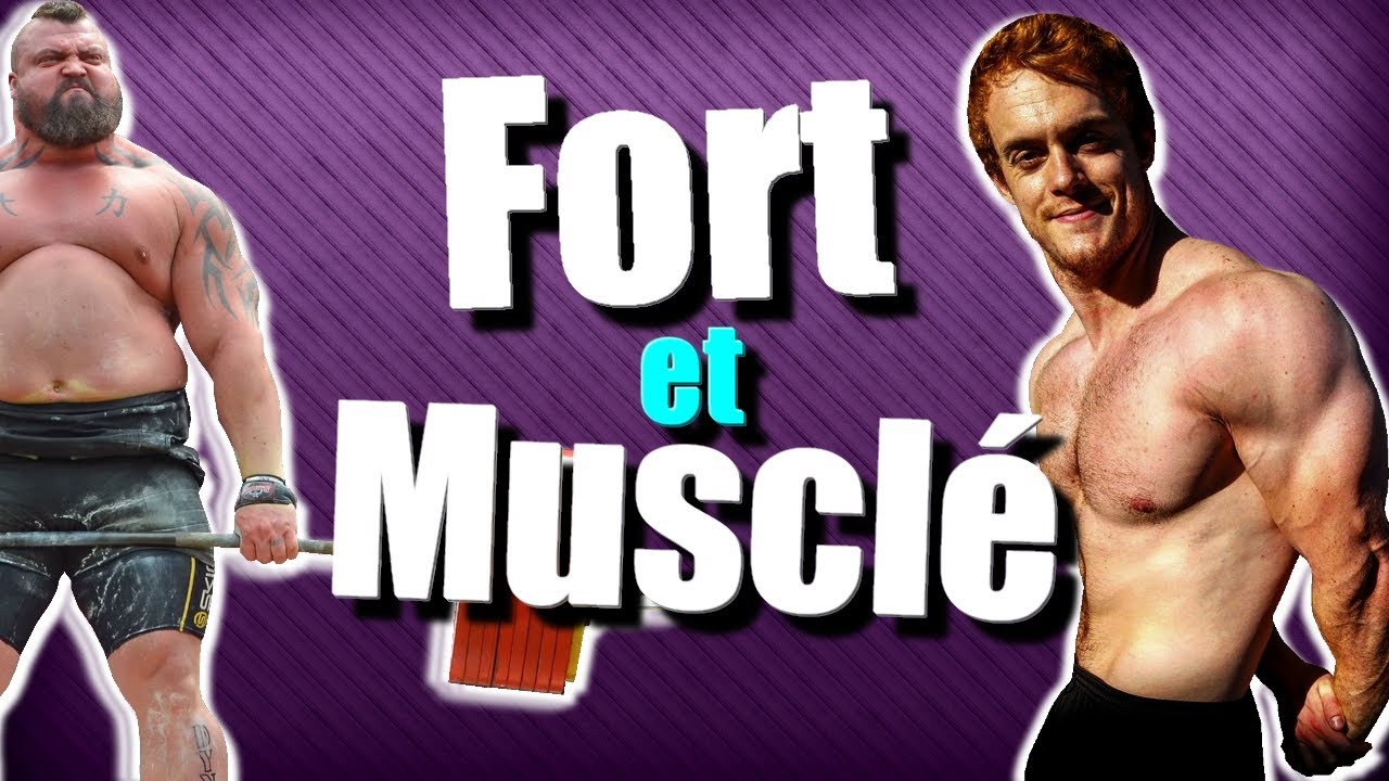 CYCLE DE PROGRESSION : Devenir Fort et Musclé - YouTube
