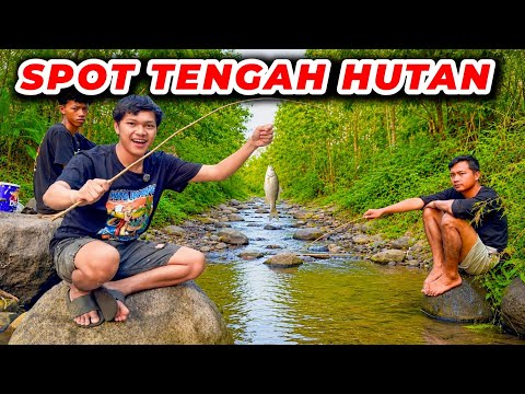 MANCING DI SUNGAI TENGAH HUTAN ?? Dapat IKAN Banyak ??