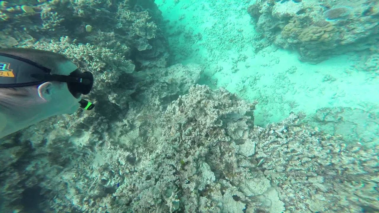 Fiji Snorkeling - YouTube