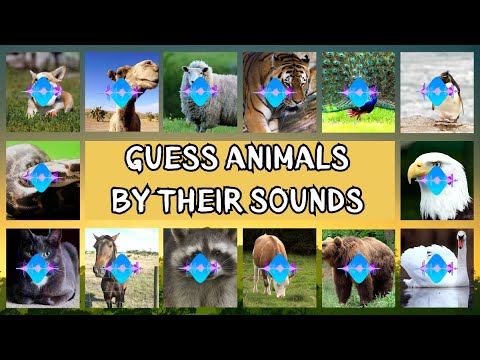 Animals Sounds Quiz Challenge | Guess Animals Names by Sounds They Make ...