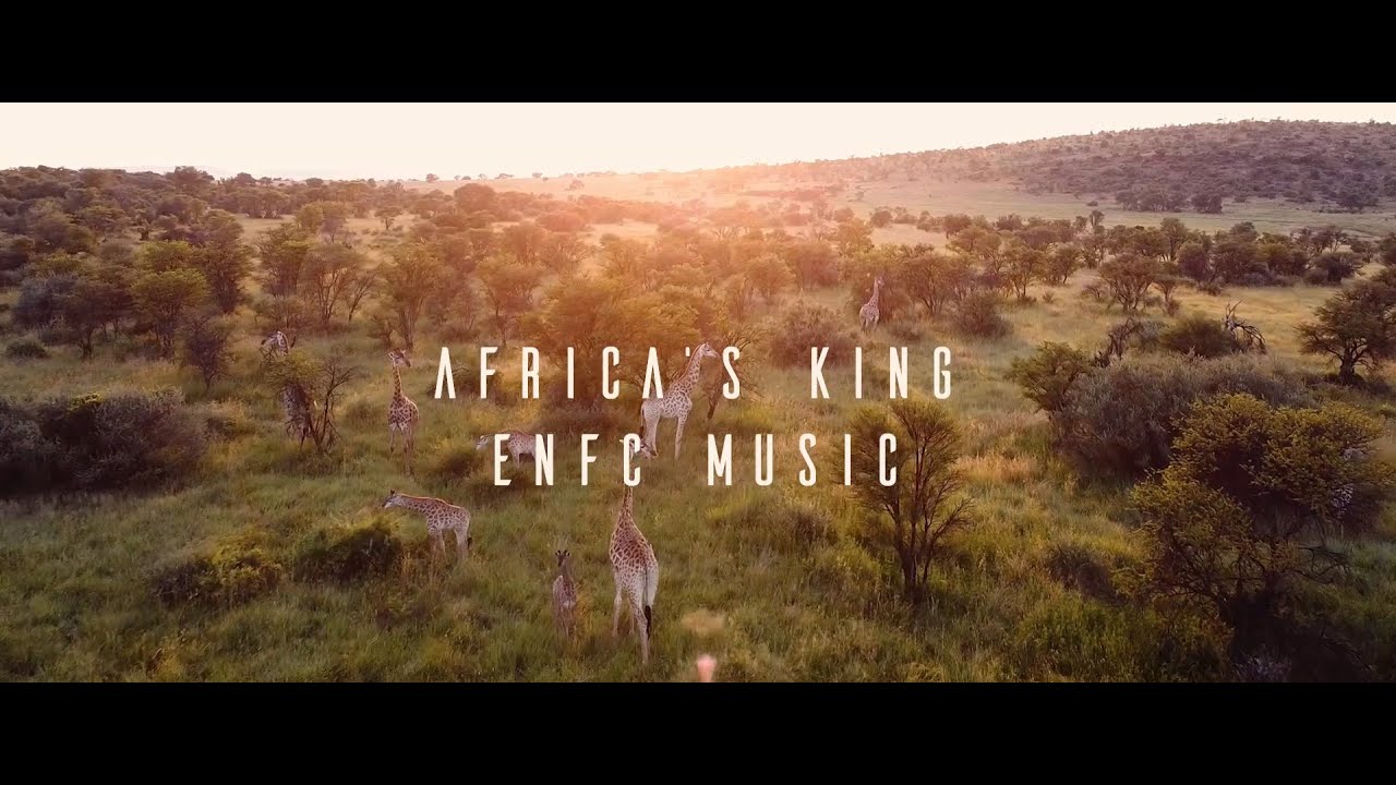 Africa's King (Official Music Video) - YouTube