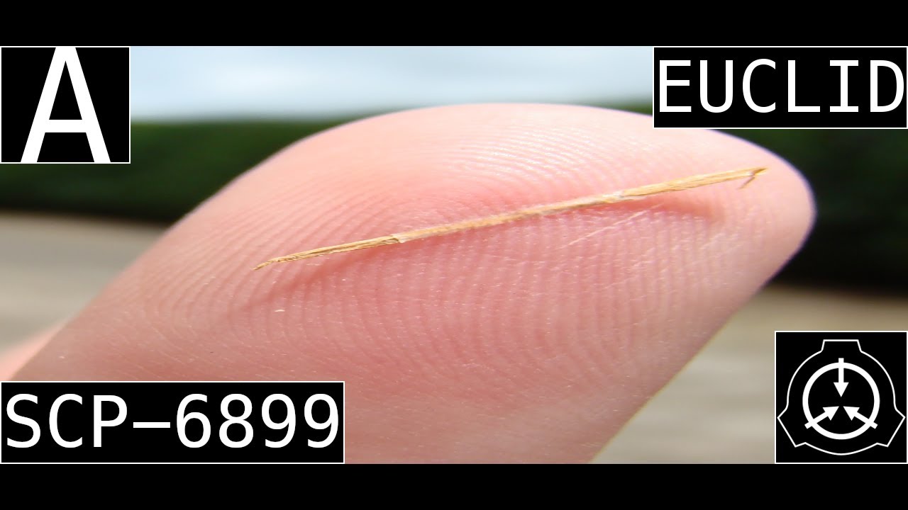 SCP-6899 "A Little Piece Of Me" [SCP Wikidot] - YouTube