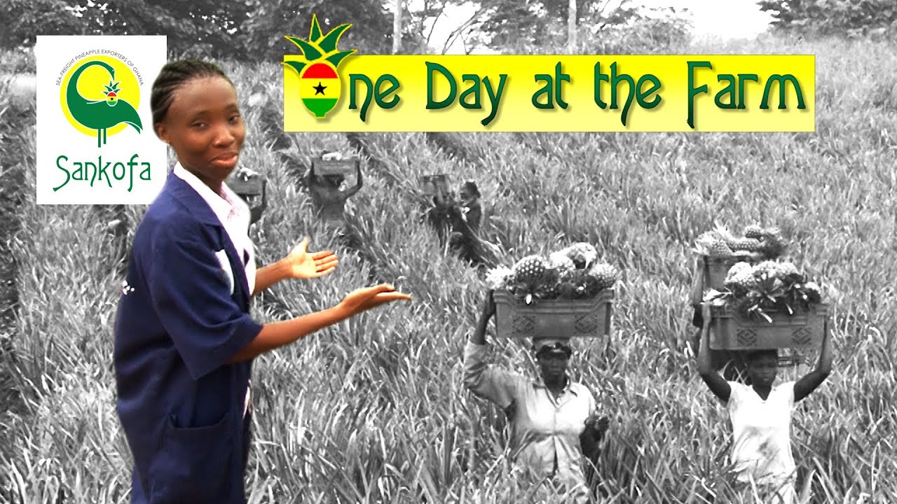 One Day at the Farm - YouTube