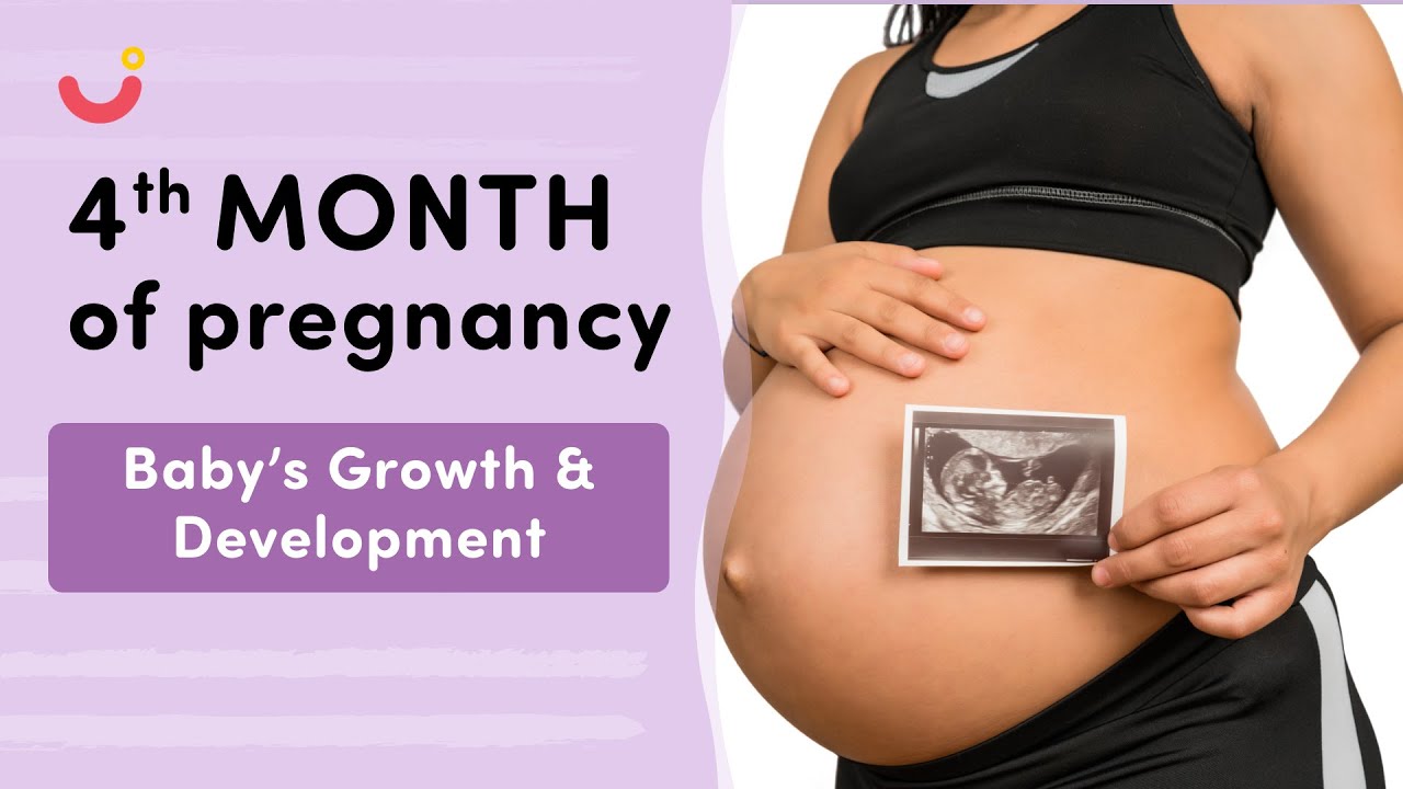 4 Month Pregnancy Baby Movement Fetal Growth Development In 4
