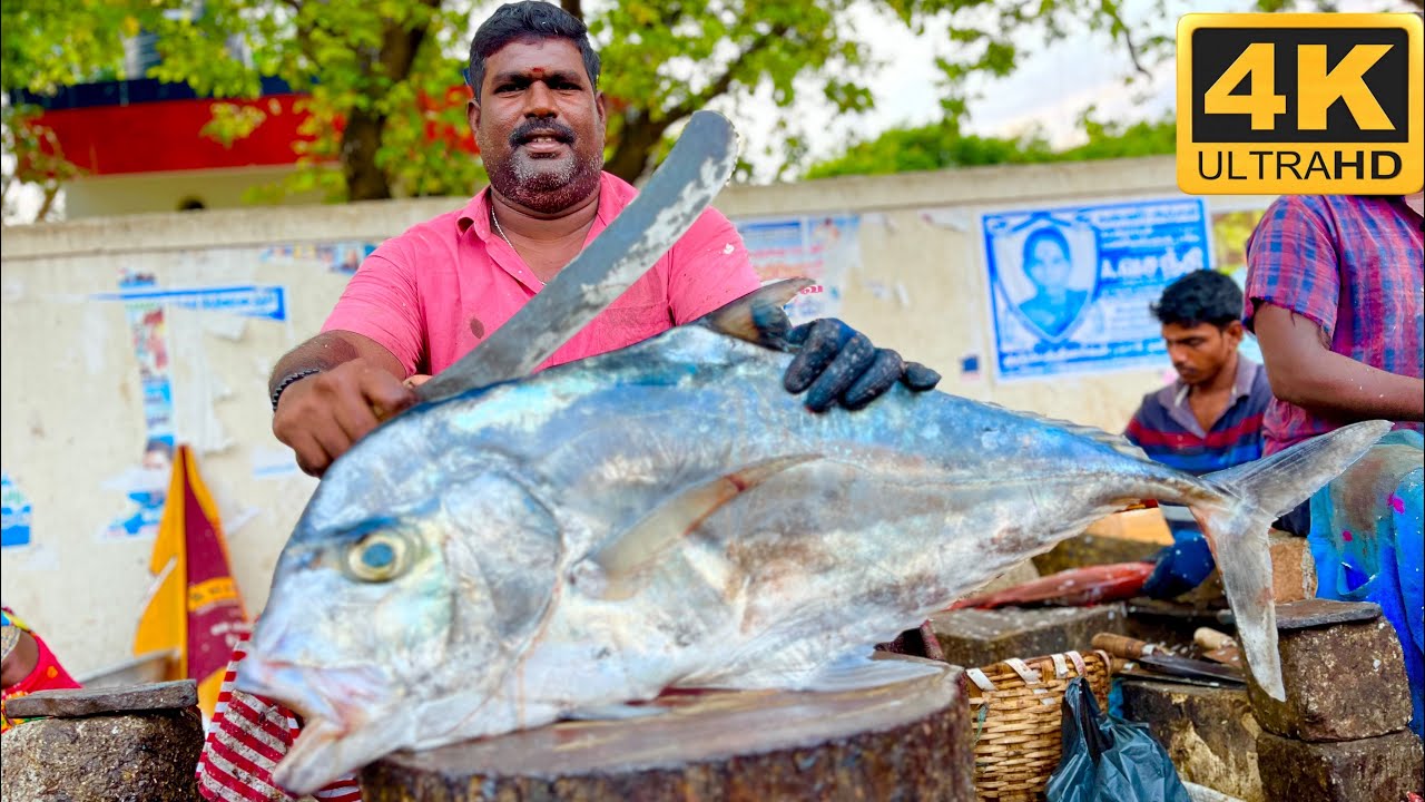 Kannadi Paarai fish cutting video/Fishcuttingrs #fishcuttingrs # ...