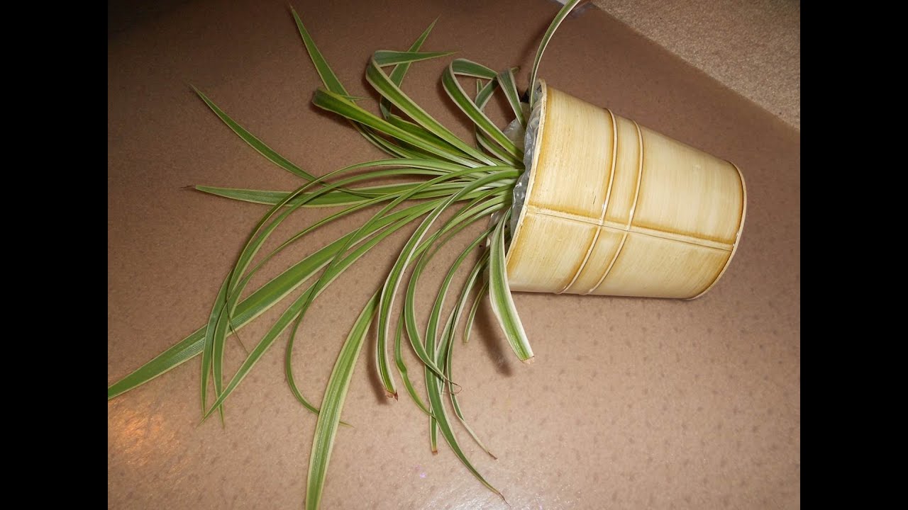 SCP-5400-J: This Page is Classified - YouTube