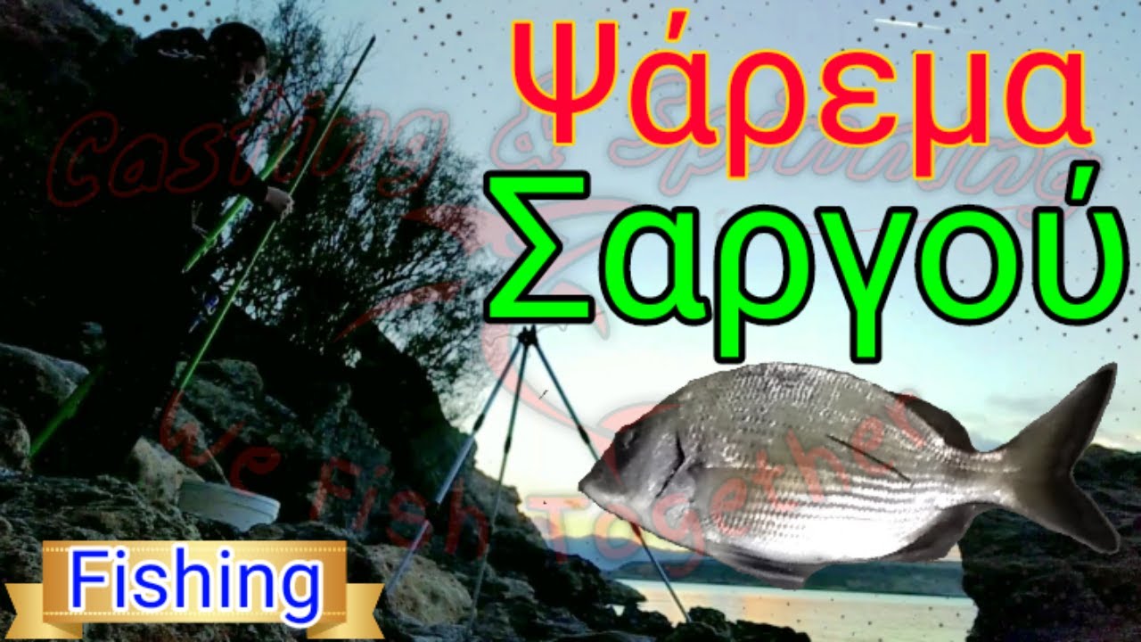 ΨΑΡΕΜΑ ΣΑΡΓΟΥ ΜΕ ΚΑΛΑΜΙ ΣΤΑ ΡΗΧΑ ΜΕ ΤΗΝ ΤΕΧΝΙΚΗ Casting ( ψαρεμα 2020 ...