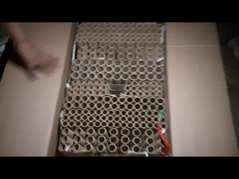 squid game 341 shots - YouTube