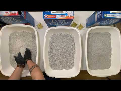 EVERCLEAN KEDİ KUMU PERFORMANS TESTİ !!! ( KESİN İZLEMELİSİNİZ ))