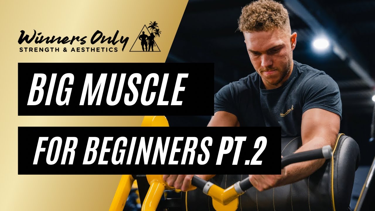 Big Muscle for Beginners (pt.2) - YouTube