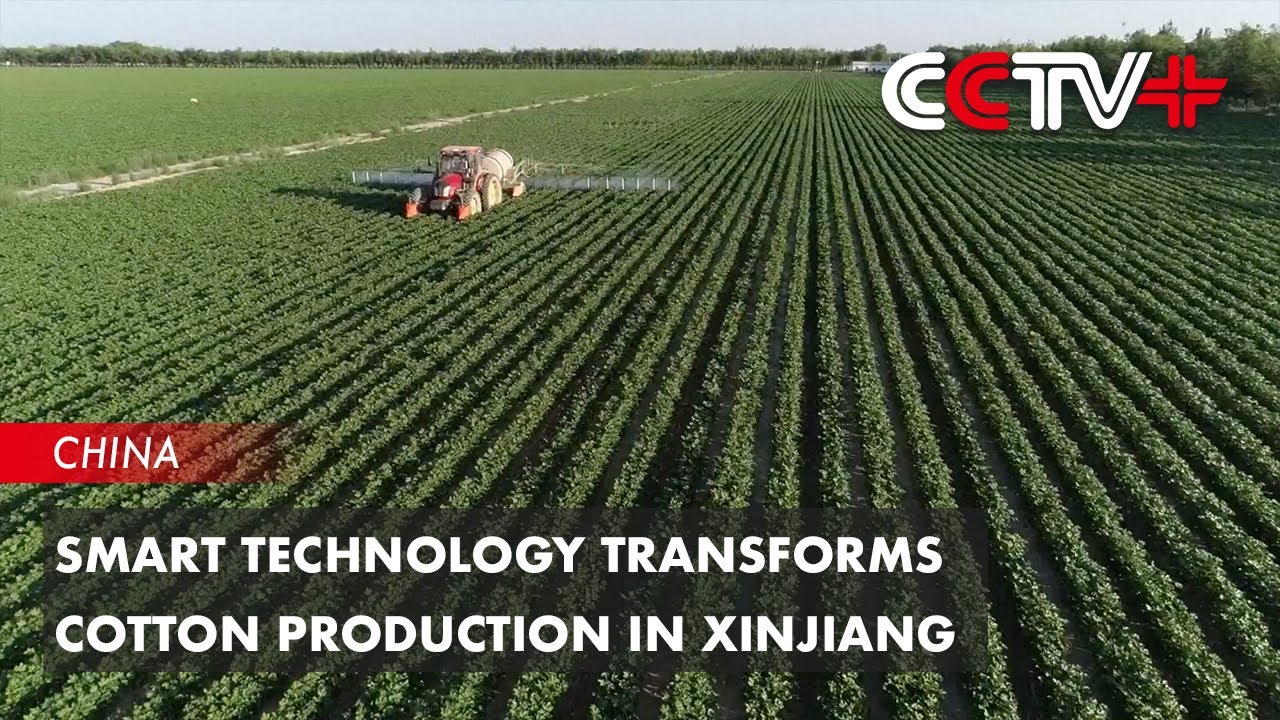Smart Technology Transforms Cotton Production in Xinjiang - YouTube
