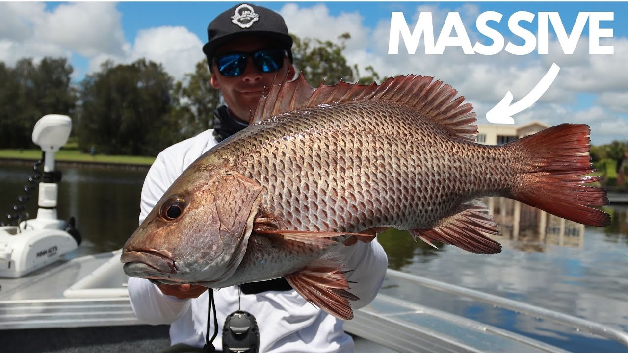 Massive Gold Coast Jack - Ft Reece Gilbert - YouTube