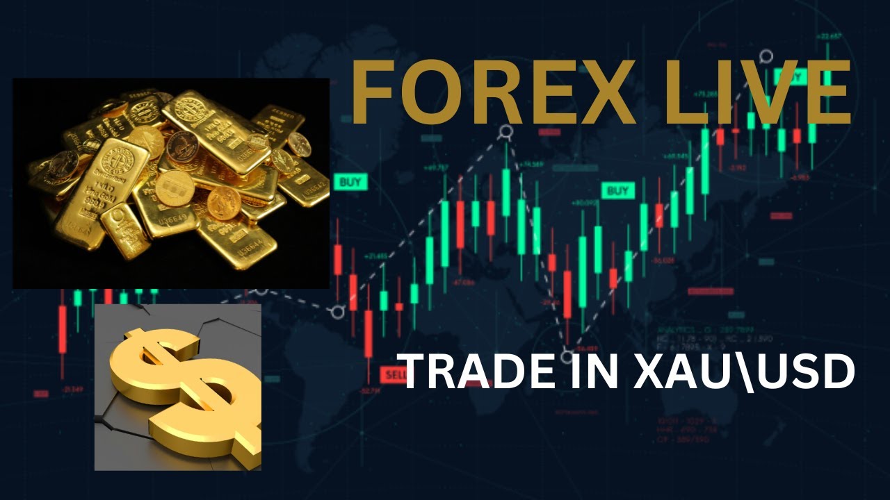 Forex Live Trading (XAU/USD) - YouTube