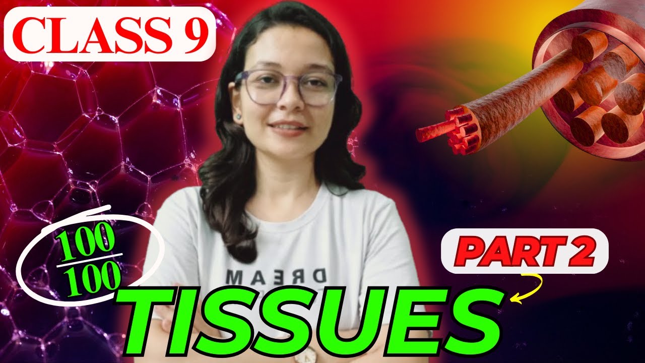 Tissue Chapter Part 2 | Animal Tissues Explained | Class 9 Science ...