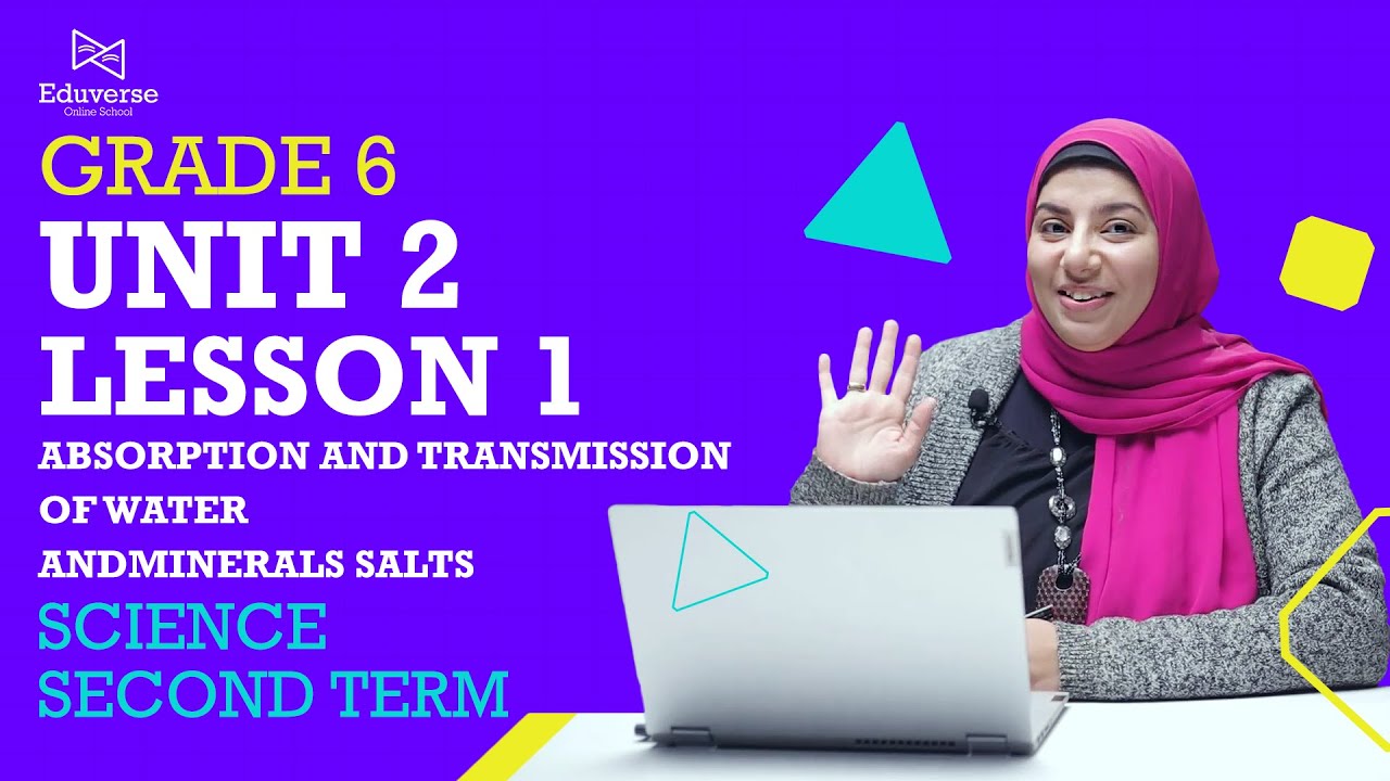 Science| Grade 6| Unit 4 | Lesson 1| Absopration And Transmission Of ...