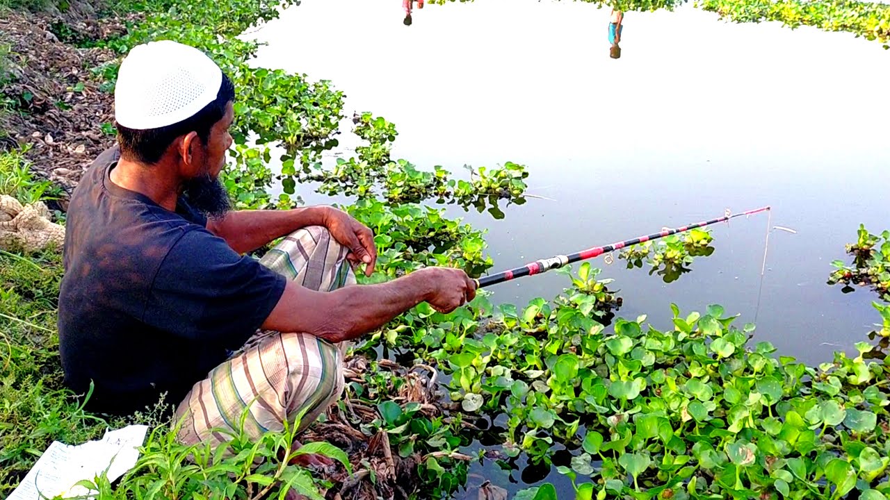 Traditional Hook Fishing in Village Canal - Village People Catching ...