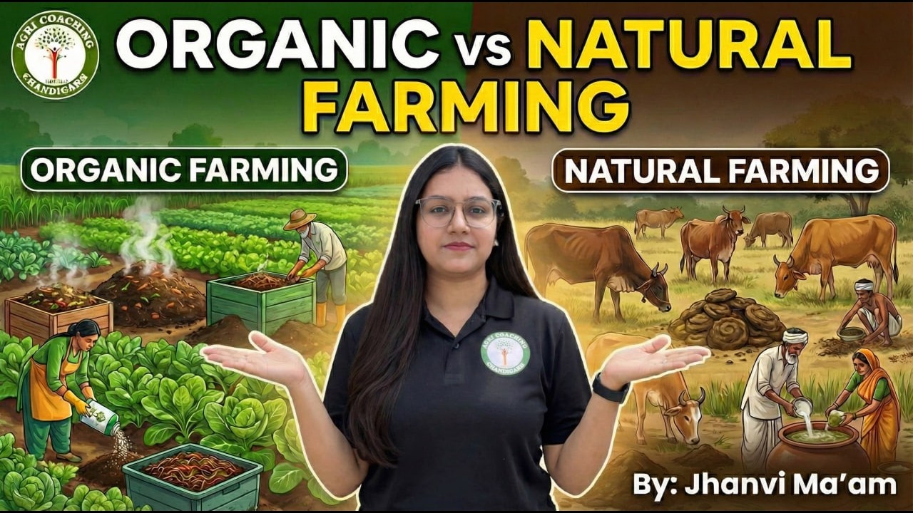 Organic Farming Vs Natural Farming | Concept to Selection – Day 15 ...