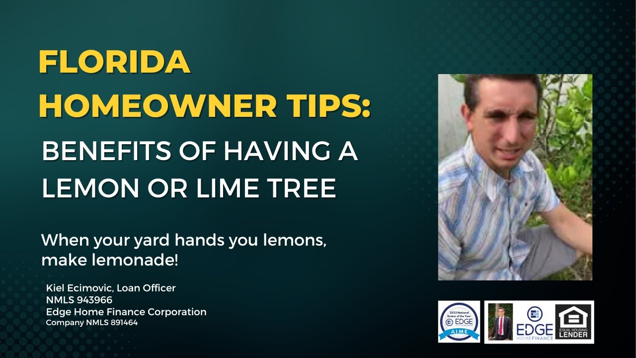Here’s one benefit of being a homeowner in Florida… - YouTube