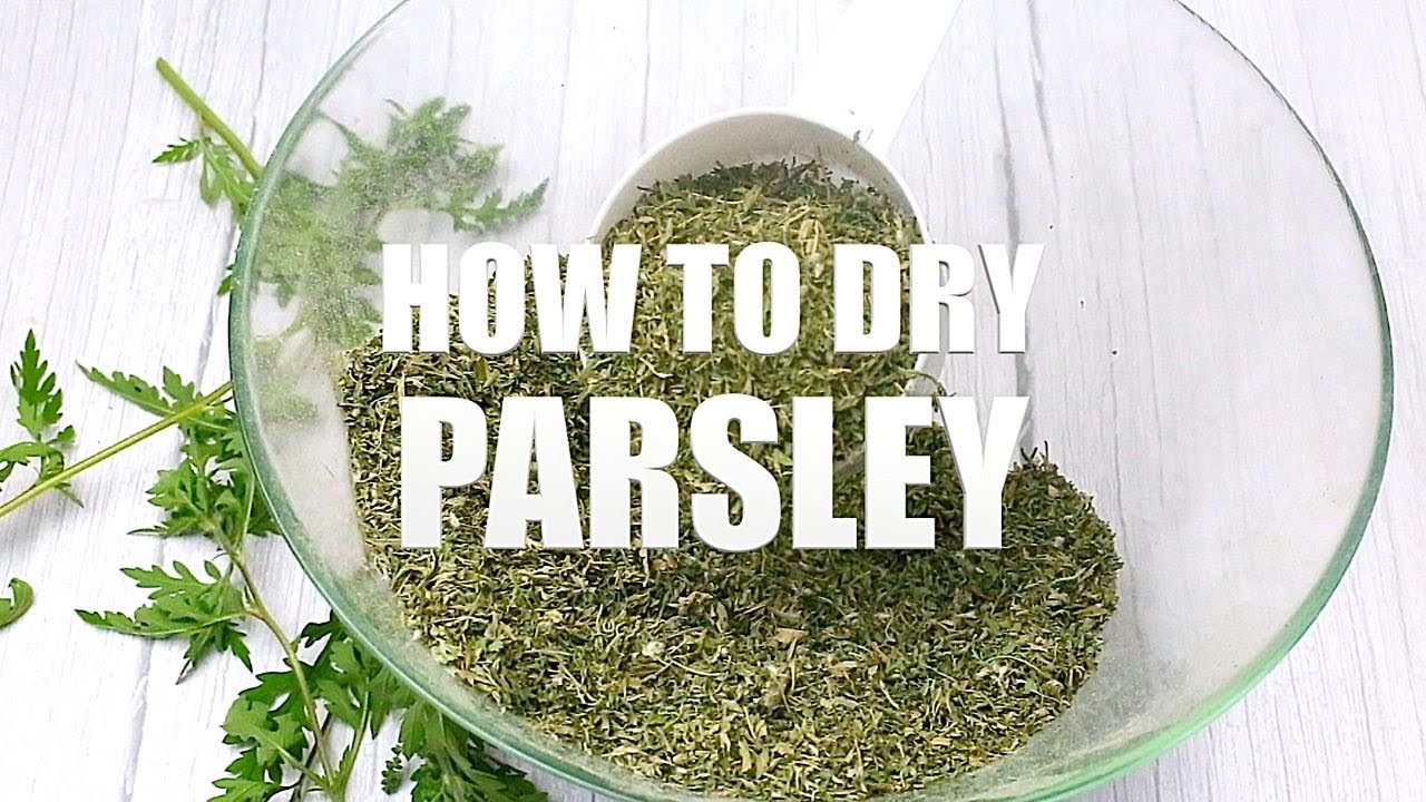 Drying Parsley || How To Dry Parsley - YouTube