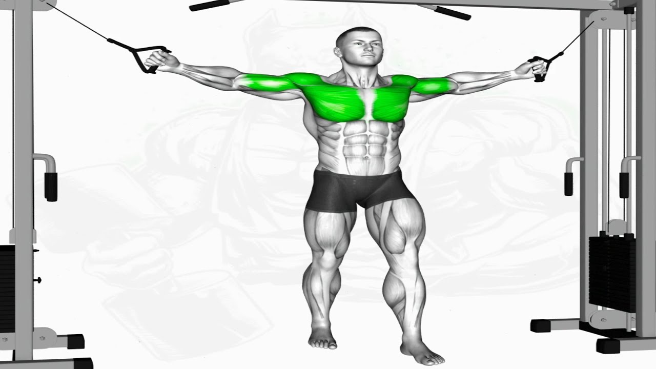 FULL CHEST WORKOUT / PECHO EJERCICIOS - YouTube