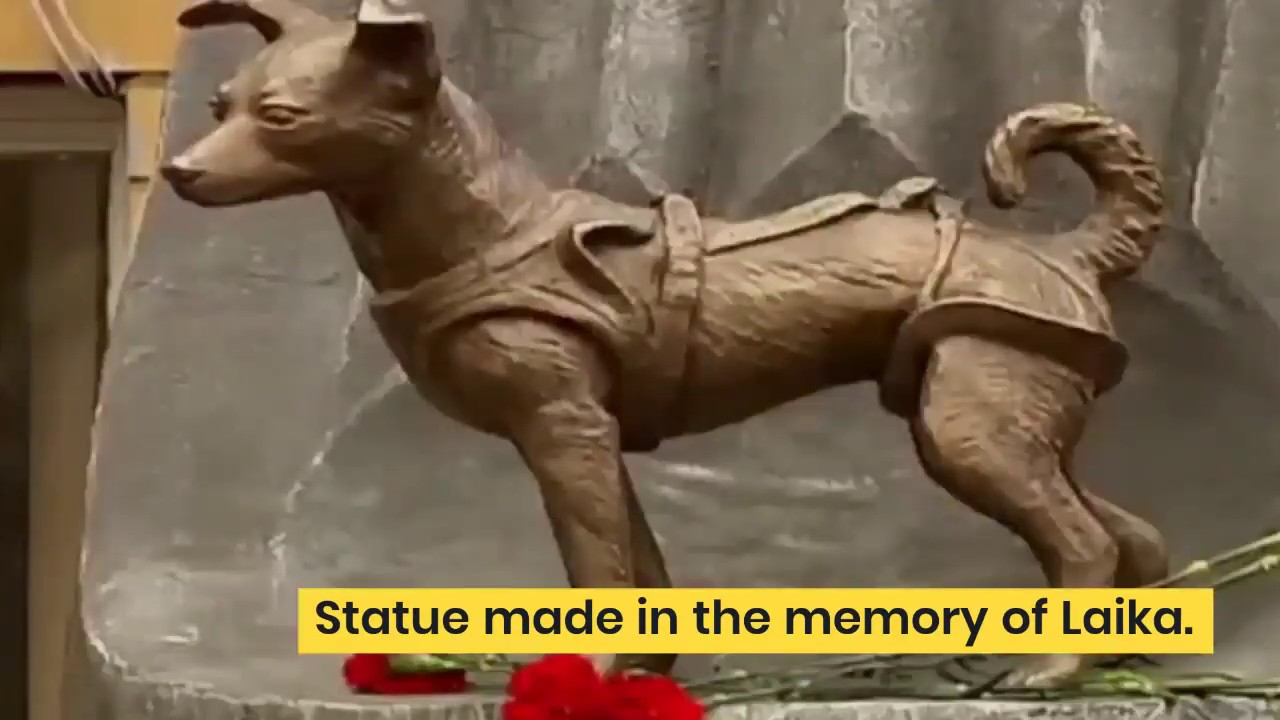 The Sad Story of Laika, the Space Dog - YouTube