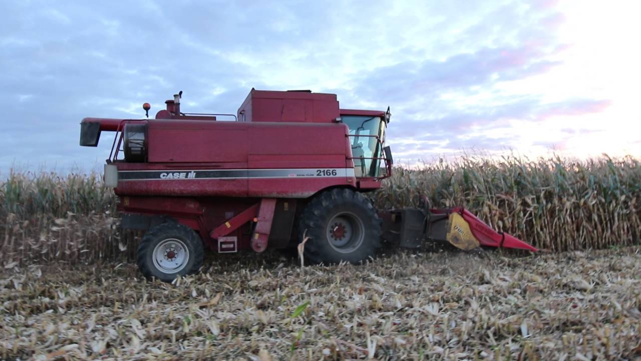 CASE 2166 au maïs grain 2016 - YouTube
