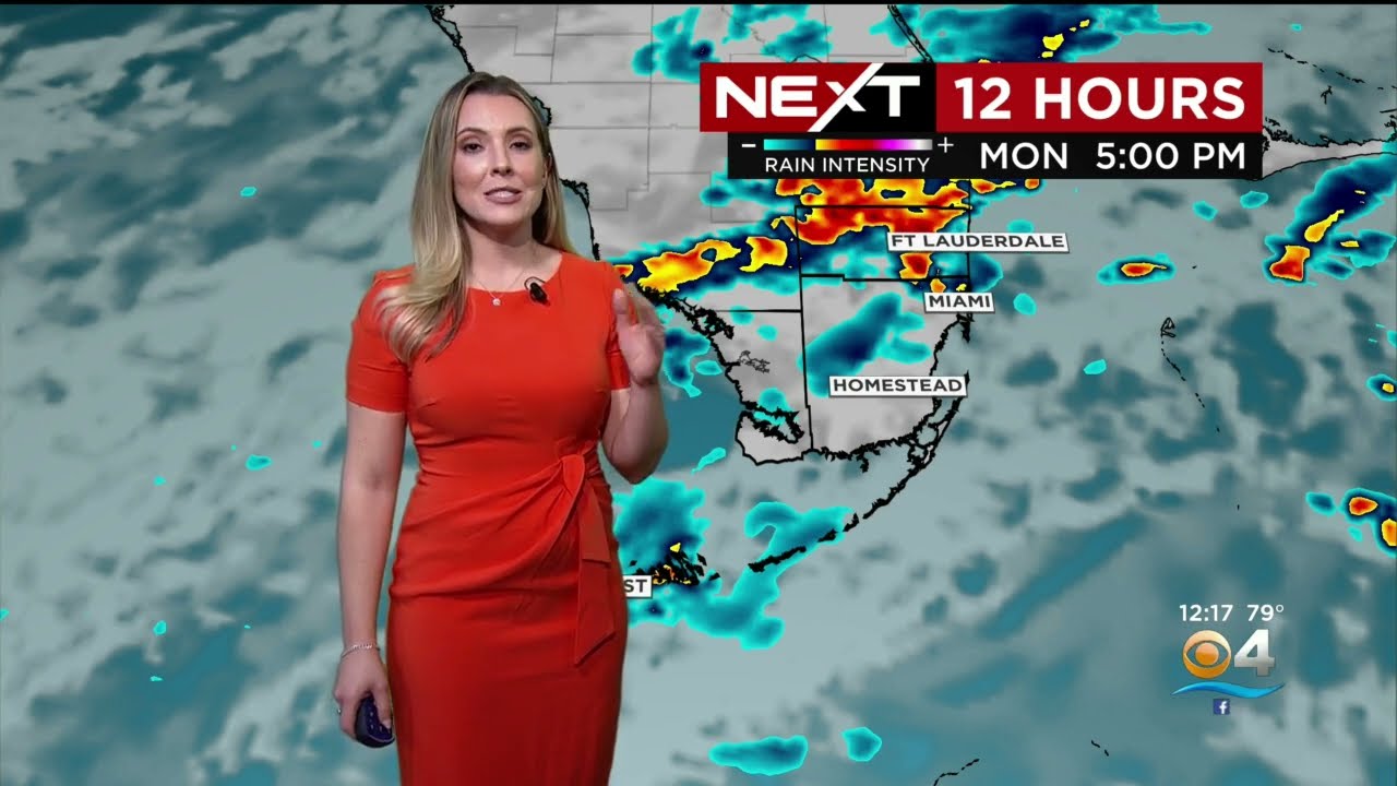 Miami Weather 11/21/2022 12PM - YouTube