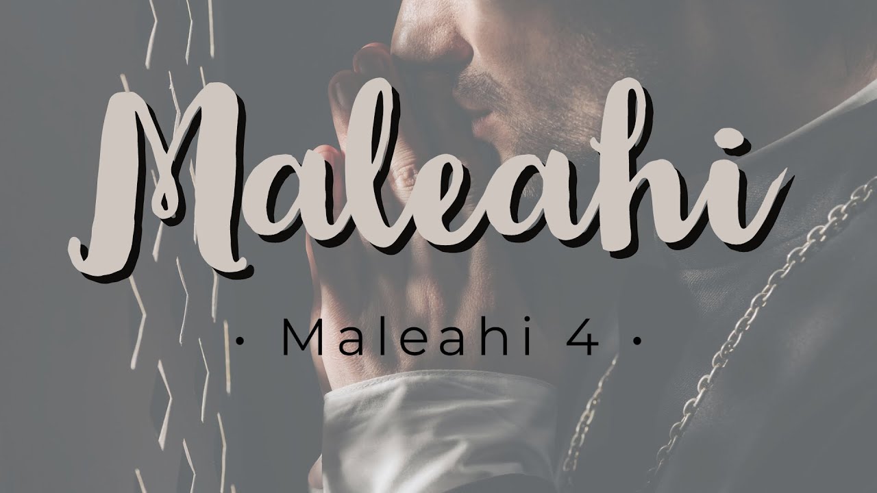Predici Crestine - Maleahi 4 | Koinonia 29 - Retreat 2022 - YouTube