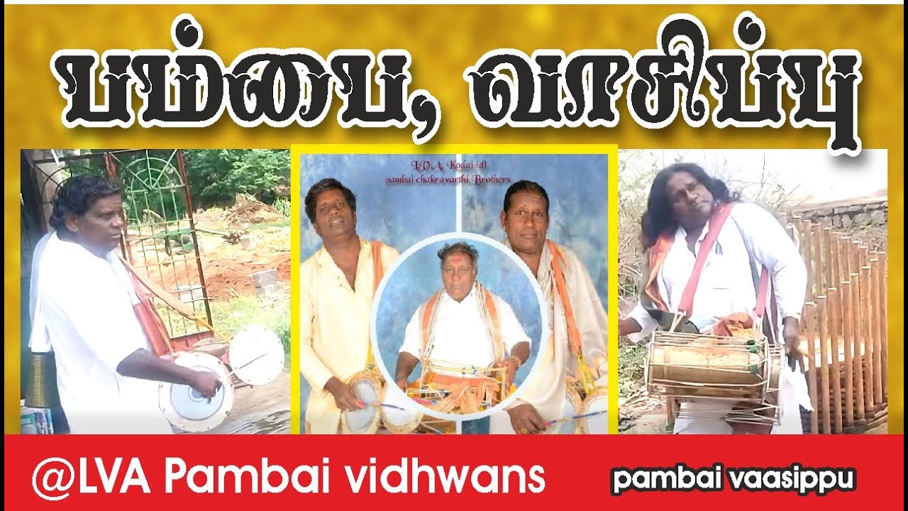 பம்பை, வாசிப்பு | pambai vaasippu | 🔥 #pambai #pambaiudukkai ...