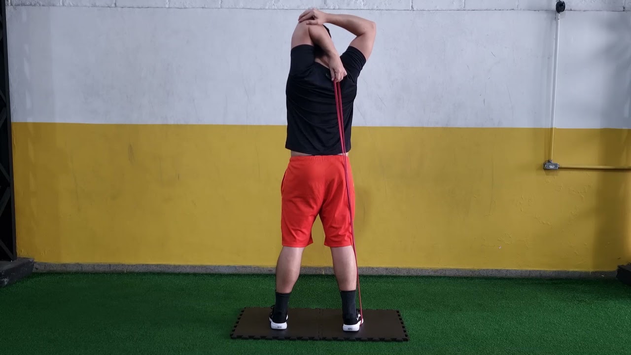 ALONGAMENTO DE TRÍCEPS - YouTube