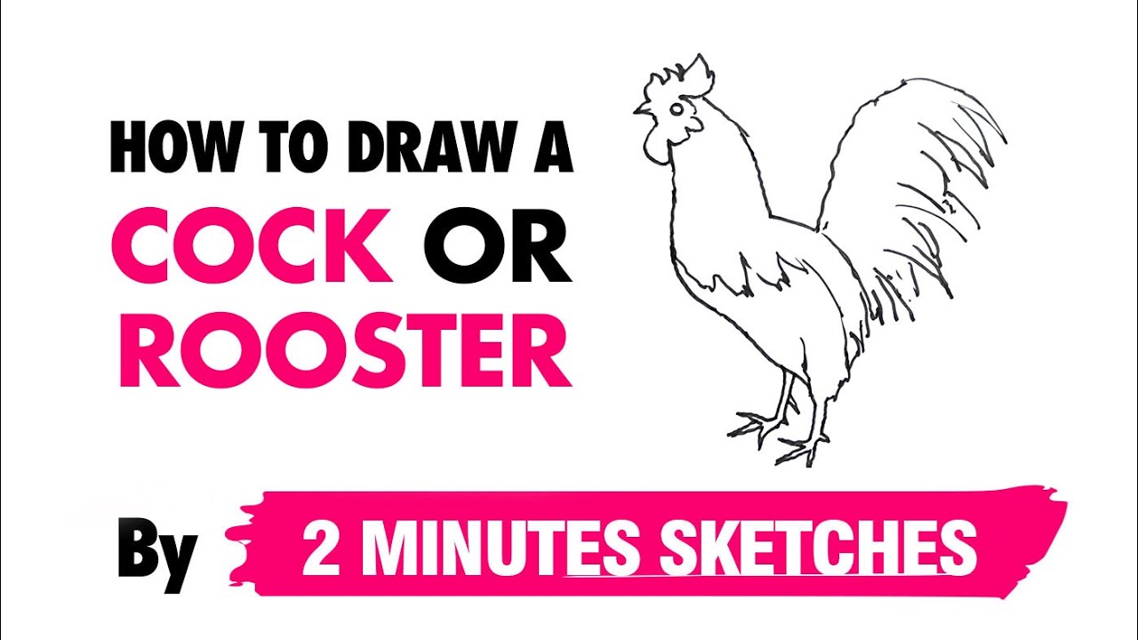 How to draw a Rooster or Cock | By 2 Minutes Sketches - YouTube