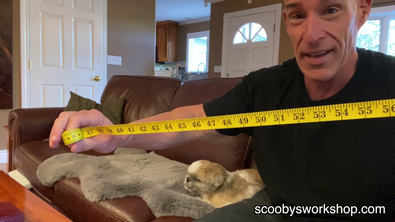 How To Measure Distance Part 1 YouTube how-to-measure-distance-part-1-youtube