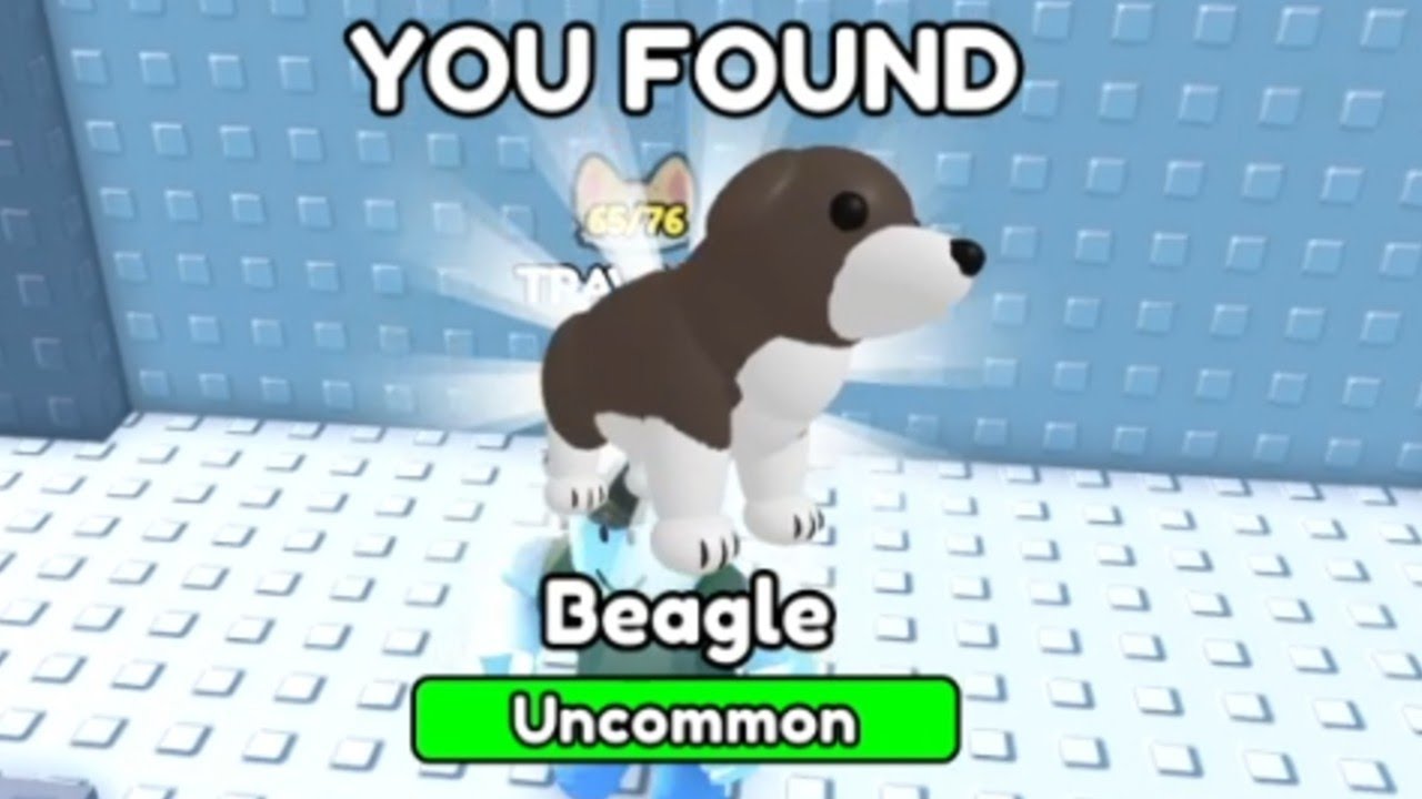 Find the Puppies - Where to Find the Beagle (Roblox) - YouTube