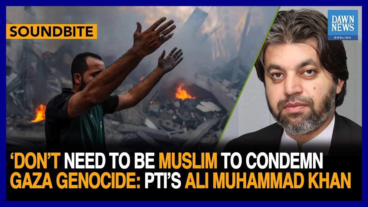 Don’t Need To Be Muslim To Condemn Gaza Genocide: PTI’s Ali Muhammad ...