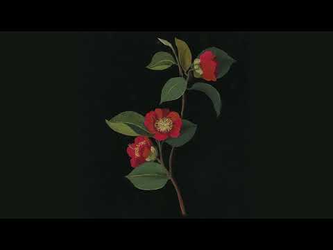 Adile Kurt Karatepe - Merhamet kıl kaşı keman