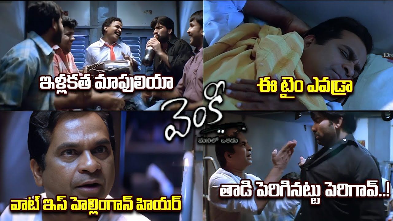 తాడి పెరిగినట్టు పెరిగావ్..! | Venky Movie Train Comedy Scene | Venky ...