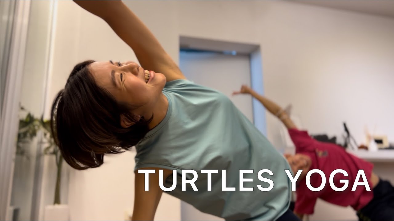 TURTLES | YOGA - YouTube