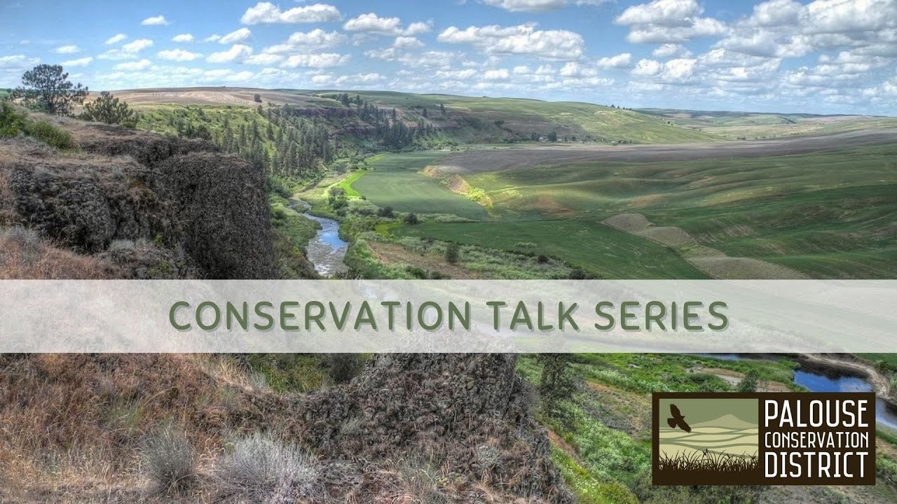 Conservation Talk Series | Biological Corridors: Their Benefits to ...