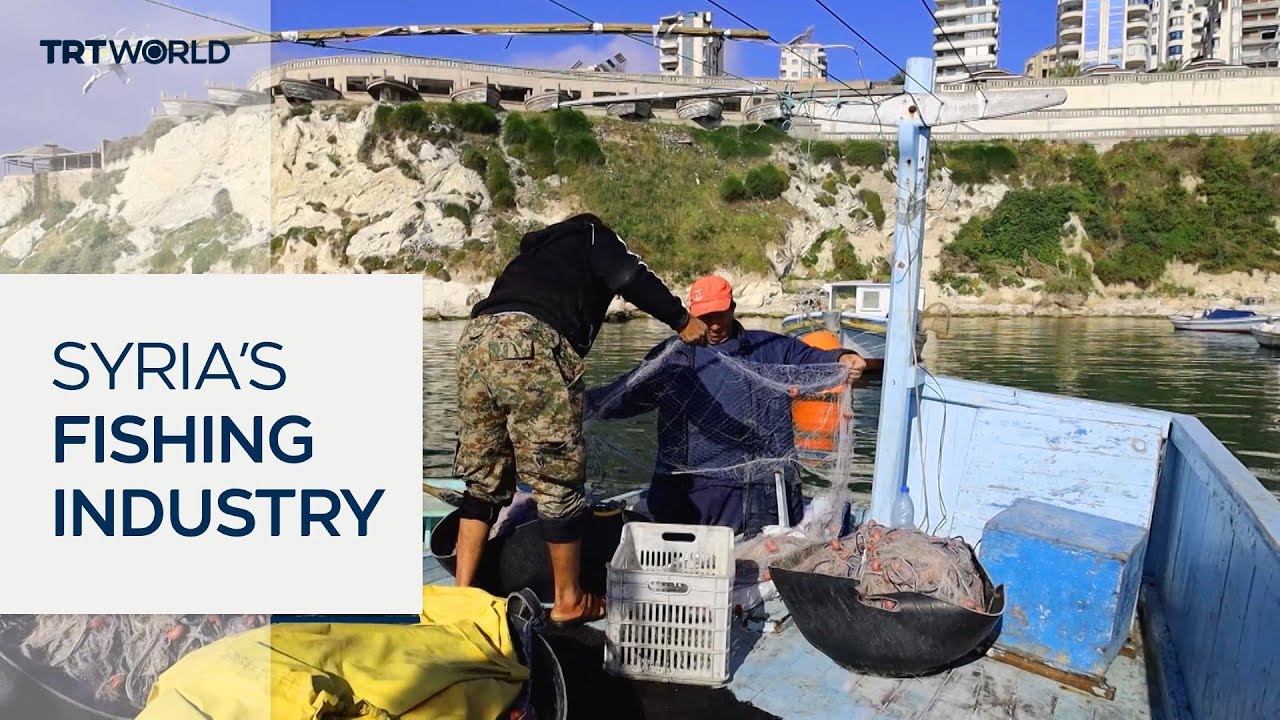 Syria's fishing industry revives after fall of Assad regime - YouTube