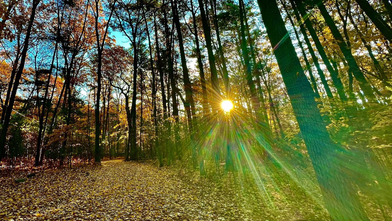 An October Drive around Higgins Lake with All the Trees in Color - YouTube
