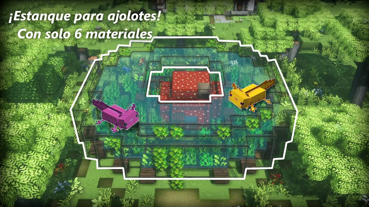 Minecraft cómo hacer un estanque para ajolotes fácil rápido y bonito ...