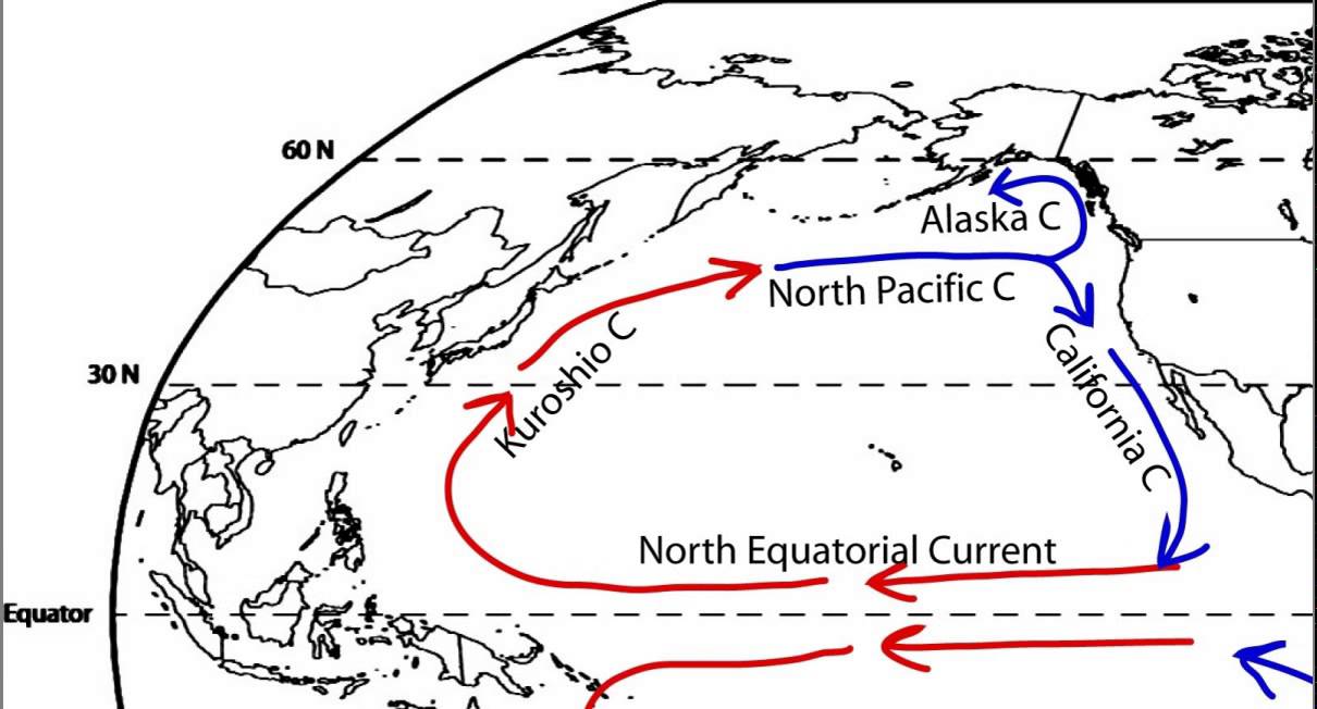 North Pacific Current Map