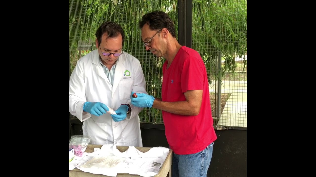 Tony Silva and IQ Bird Testing - testing a flock of rescued lovebirds ...