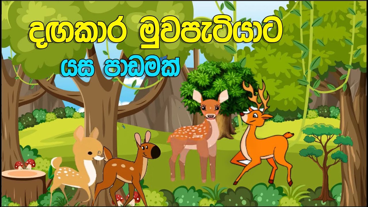 දඟකාර මුවපැටියාට සිදුවූ යස පාඩම | sinhala cartoon lama kathandara katun ...