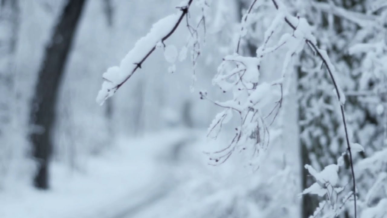 In love with snow | Nikon D90 SAMPLE VIDEO with 50mm lens f1.8 D